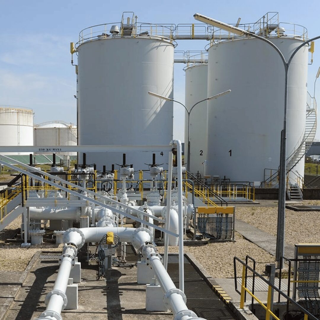 Client Case Study: Trapil - Samp